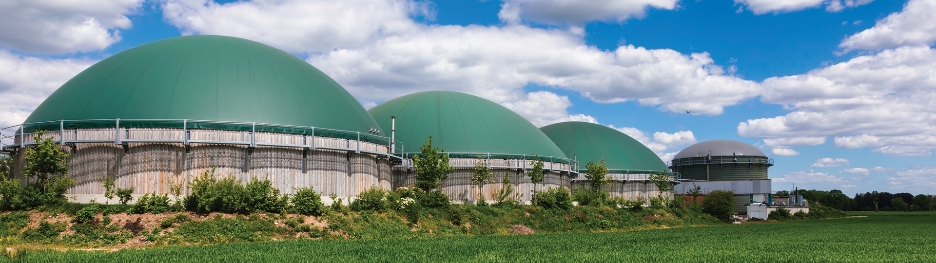 Biofuels + Waste-to-Energy | EXP