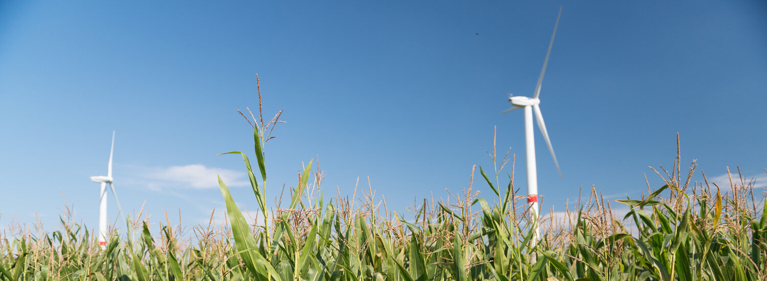 Climate Action Planning | EXP