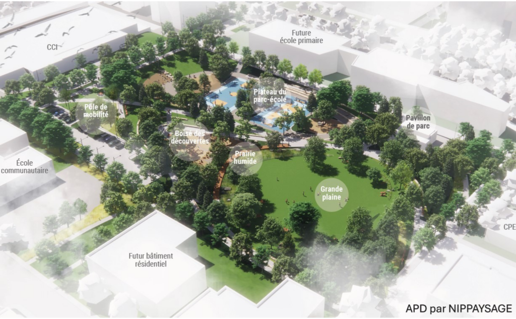 Revitalisation urbaine : nouveau parc éponge d’envergure à Montréal | EXP